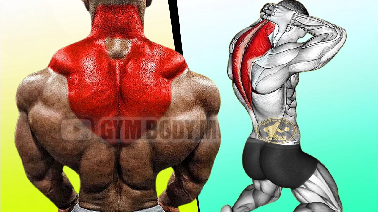 6 Best Traps Exercises For Growth - YouTube