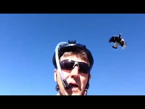 Cyclist Devises Helmet With Party Poppers to Fight Off Swooping Magpies ...