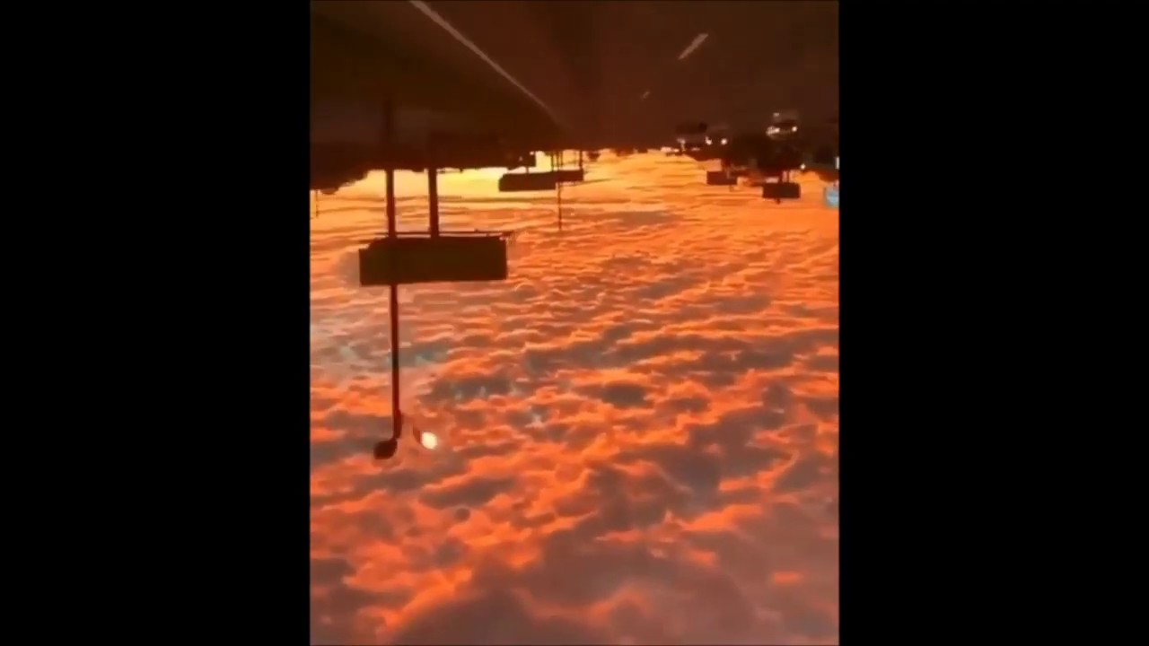 DJ RED IS DEAD & 6 CARDINAL - "SMOKE" [VISUALIZER] - YouTube