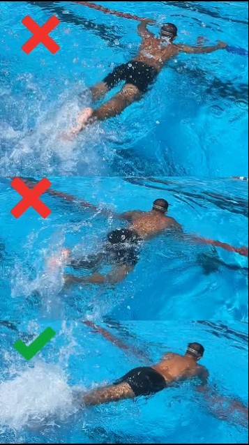 How to Swim Front Crawl Perfect Your Flutter Kick for More Speed - YouTube