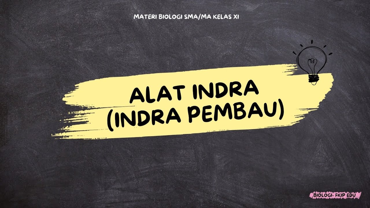 INDRA PEMBAU (MATERI ALAT INDRA) - Biologi SMA/MA Kelas XI - YouTube
