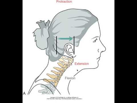 Protraction Cervical - YouTube