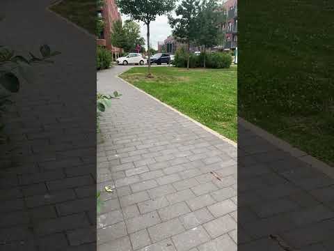 #kefetedüş #keşfet #youtube #subscribe  bu nedir