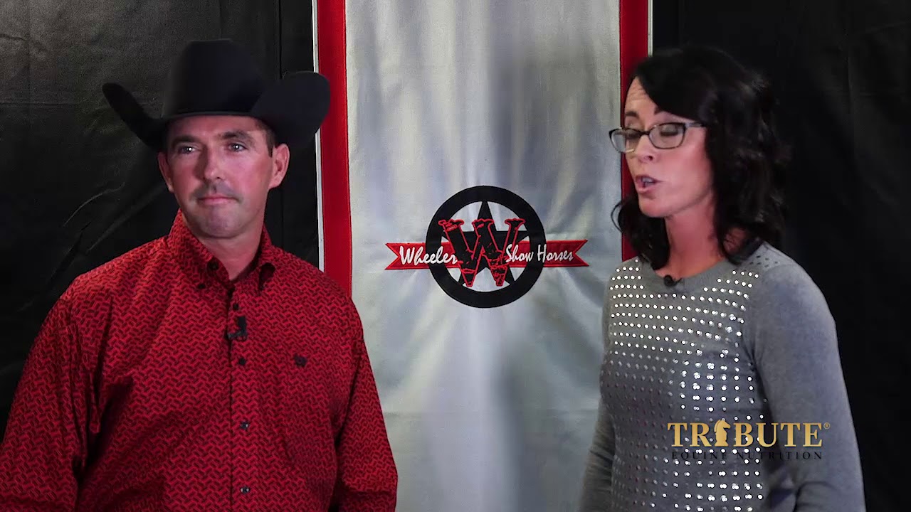 Wheeler Show Horses choose Tribute Equine Nutrition for their show ...