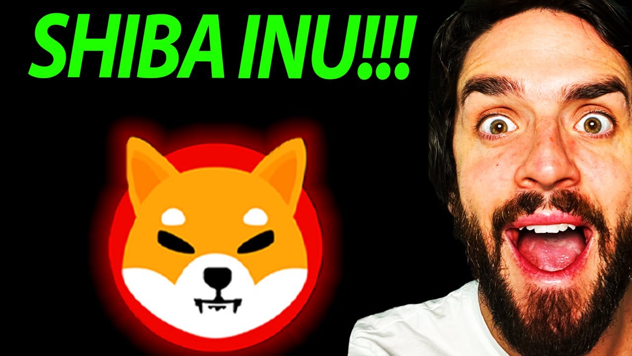 SHIBA INU - BREAKS RECORD! - YouTube