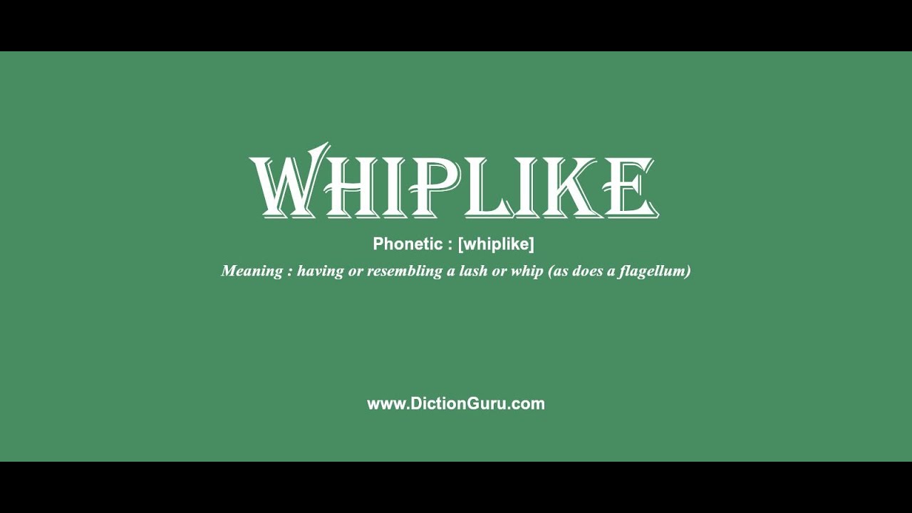 whiplike: How to pronounce whiplike with Phonetic and Examples - YouTube