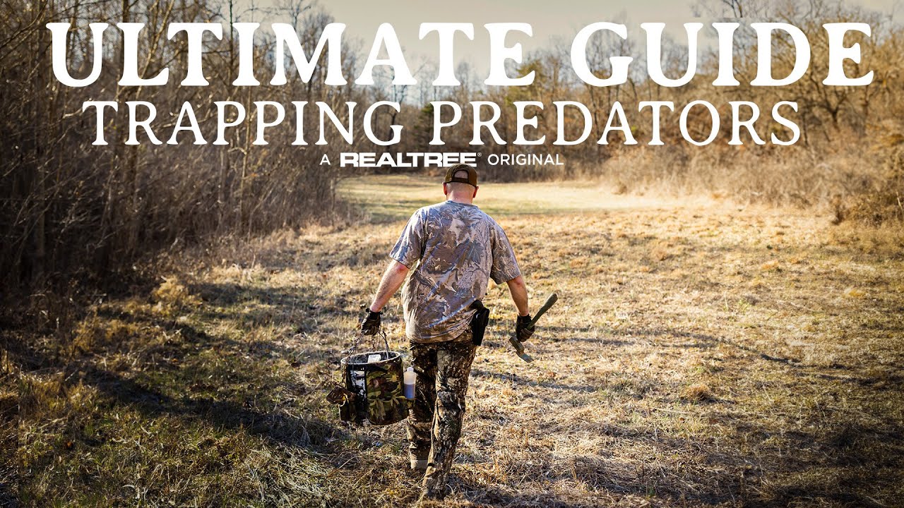 The Ultimate Guide for Predator Trapping | One Stop for All Things ...