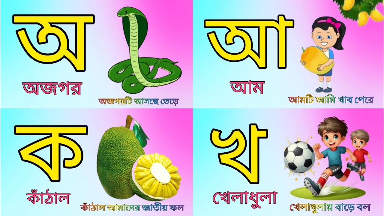 অ আ ই ঈ উ ঊ ঋ এ ঐ ও ঔ। ব্যঞ্জনবর্ণ ক খ গ ঘ।bangla soroborno banjonborno ...
