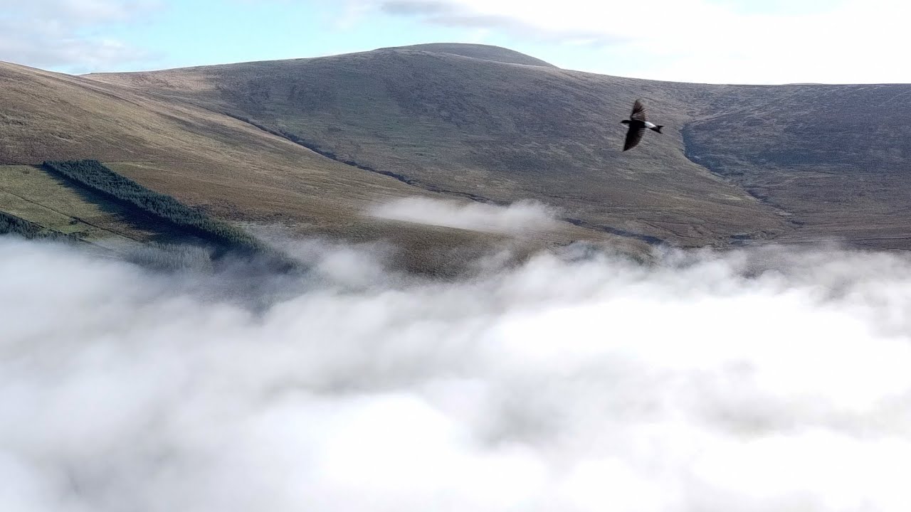Irish Mist in the Wicklow Hills - YouTube
