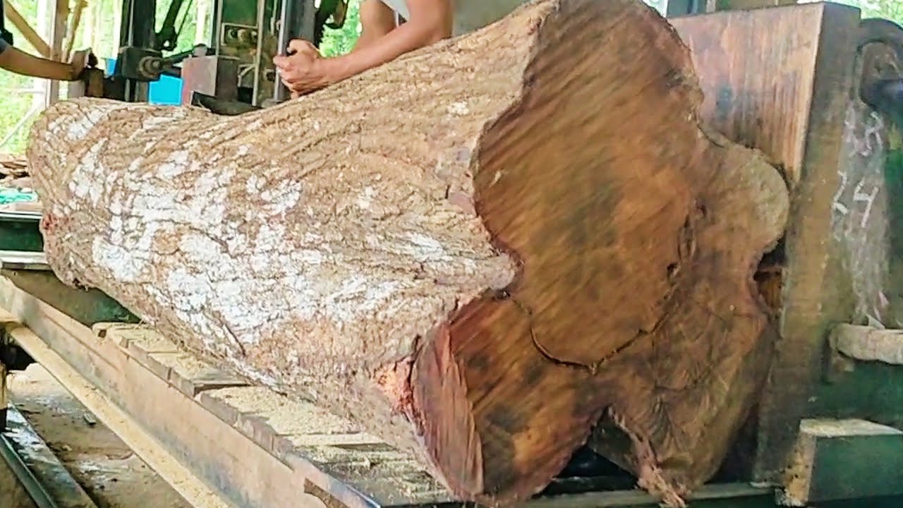 sawing fine fiber acacia logs into beautiful planks - YouTube