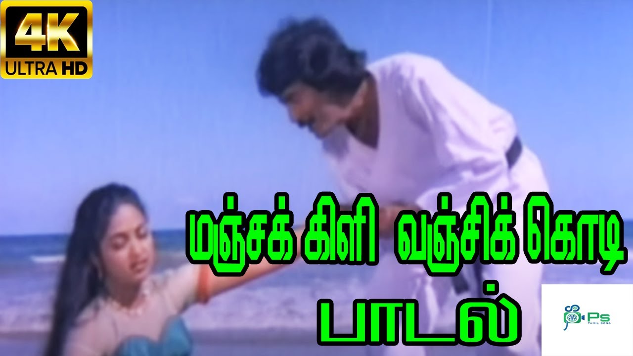 Manja Kili Vanchikodi || மஞ்ச கிளி வஞ்சிகொடி || Surendaran-Vani jairam ...