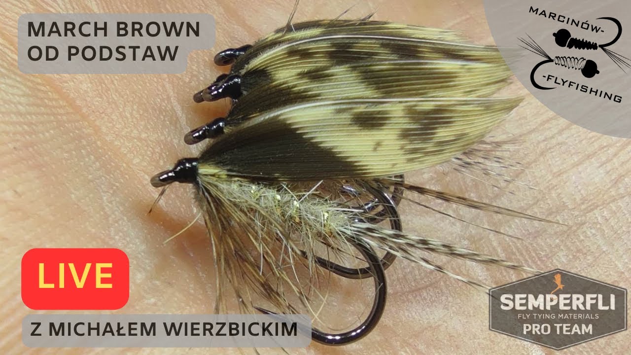 LIVE - poradnik wykonania March Brown'a - YouTube