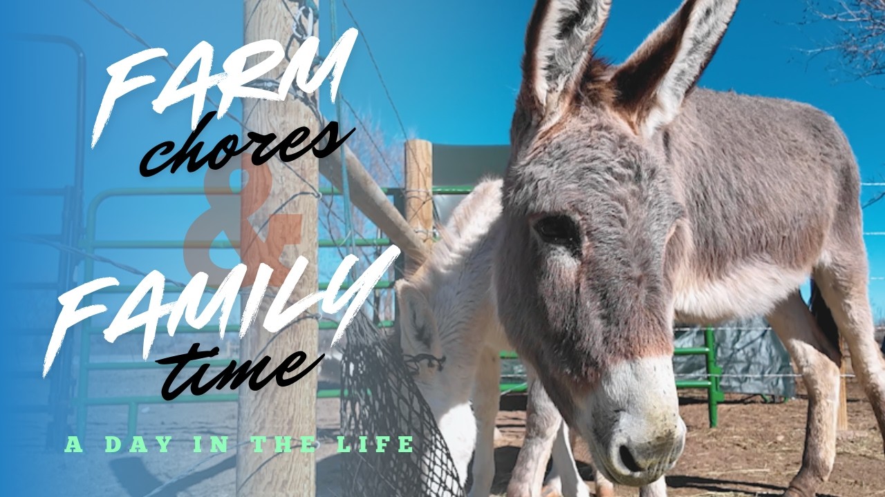 Small family farm, little kids, farm animals! Let's knock out some ...