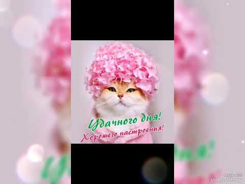 Доброе утро подруга!