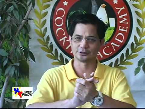 HATAW PINOY - Dr Teddy Tanchanco grouping stags.flv - YouTube