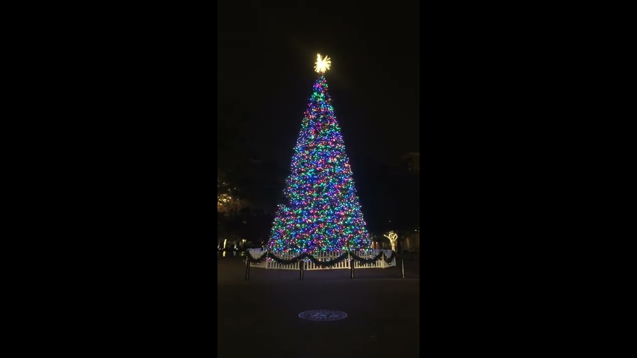MASSIVE 30 ft Christmas Tree Light Show!!! - YouTube