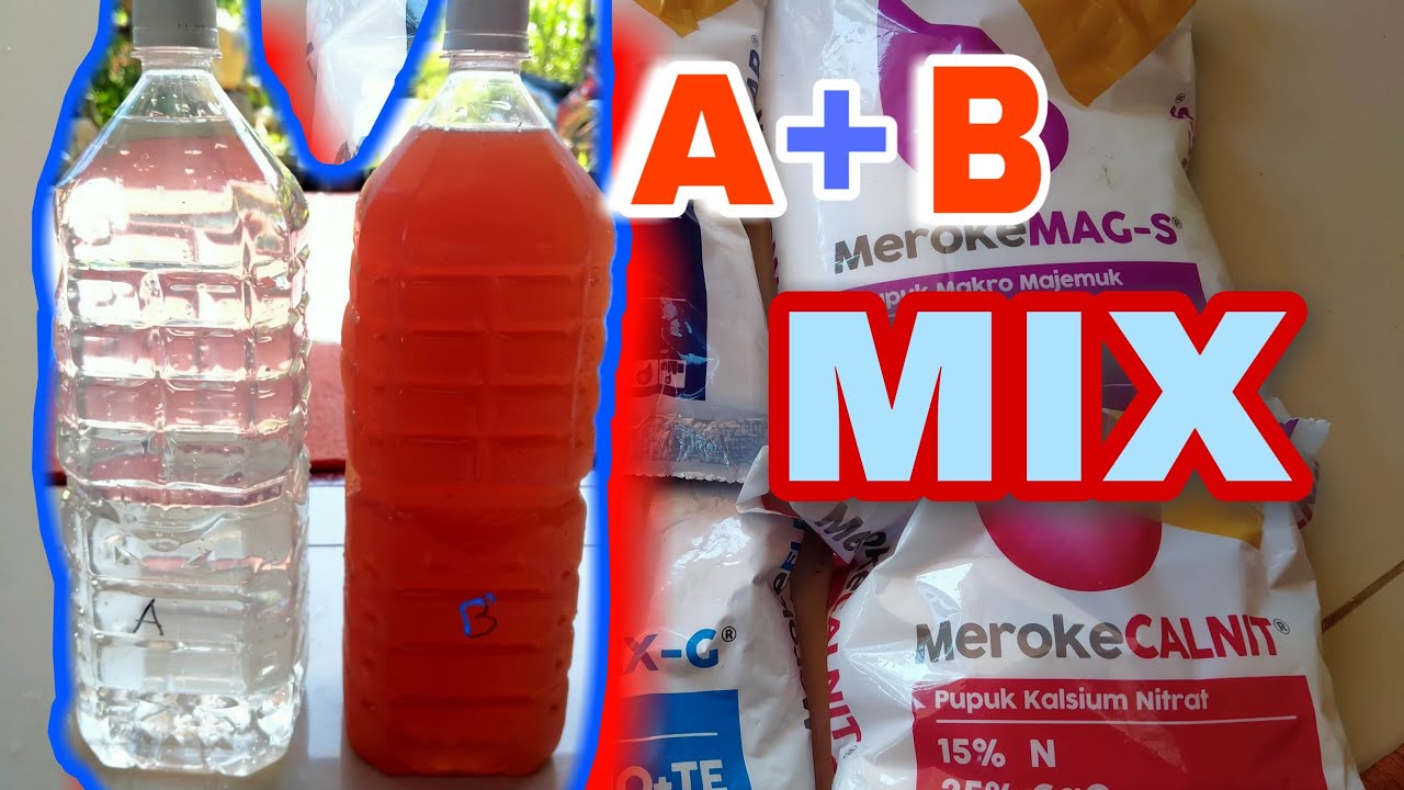cara membuat nutrisi A+B MIX sendiri, dijamin HEMAATT!!! - YouTube