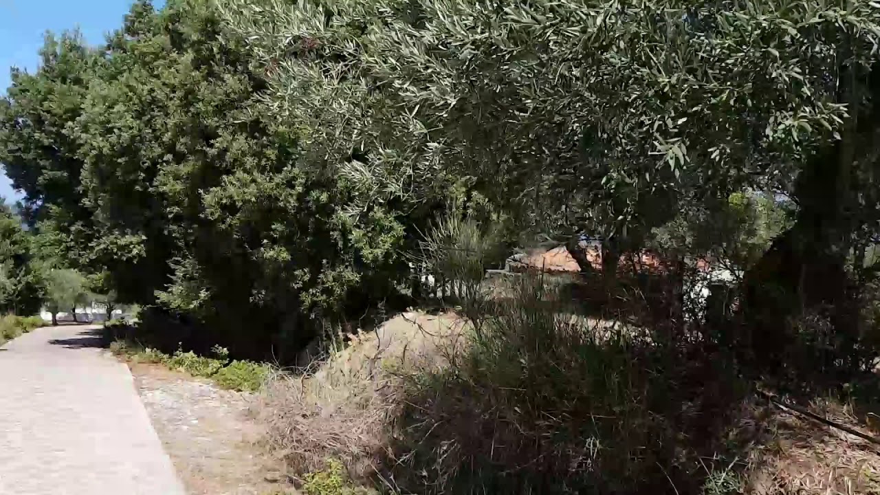 Η διαδρομη με το αμαξι μεχρι το Καστρο της Σκιαθου (part 1) - YouTube