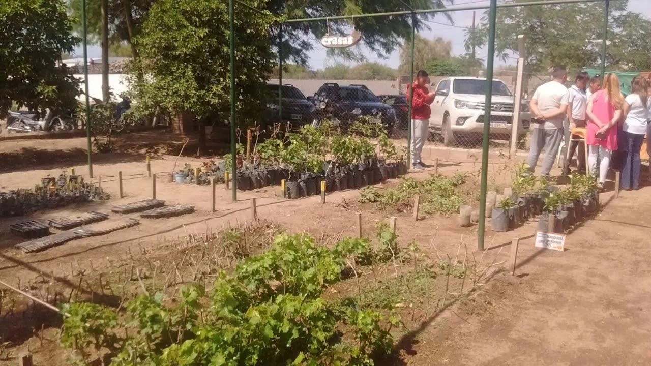 Segunda Agroferia IPEQ 2018 - YouTube