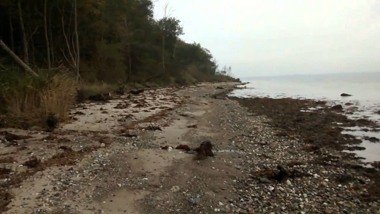 NSNH - Zeevissen Denemarken - YouTube