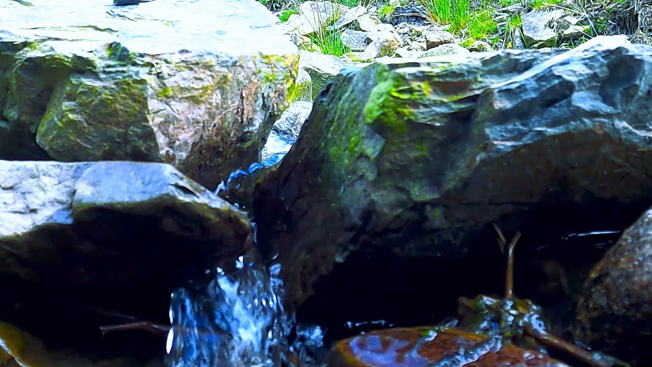 SLEEP BETTER WITH STREAM SOUNDS | Gentle Brook Sounds for Insomnia ...