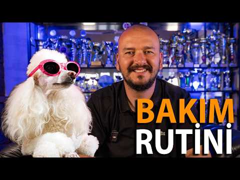Yavru Köpek Eve Geldi! İlk 1 Ayda Neler Yapılmalı?