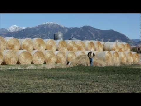 MSU College of Agriculture - YouTube