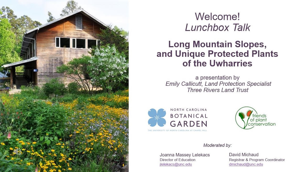 Hybrid Lunchbox Talk: Long Mountain Slopes, and Unique Protected Plants ...