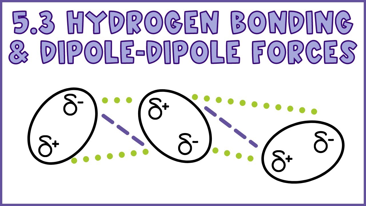 Dipole Dipole Force and Hydrogen Bonding - YouTube