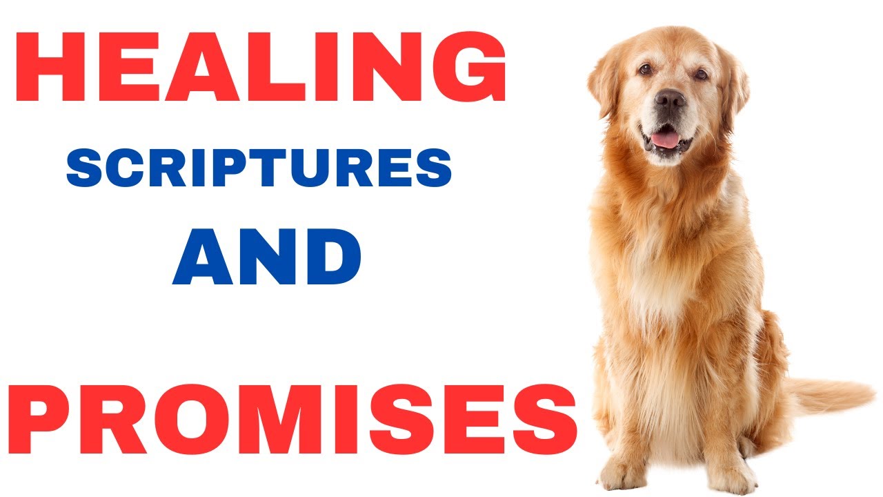 Powerful Scriptures For Total Healing In Your Life - YouTube