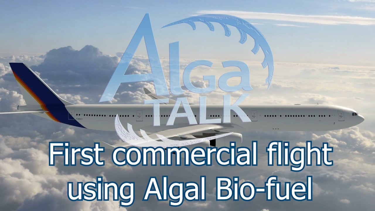 First commercial flight using algal bio-fuel: An Algae News short ...