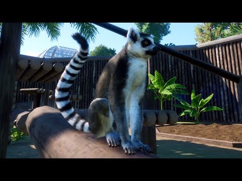 Planet Zoo - Ring Tailed Lemur Gameplay (PC HD) [1080p60FPS]