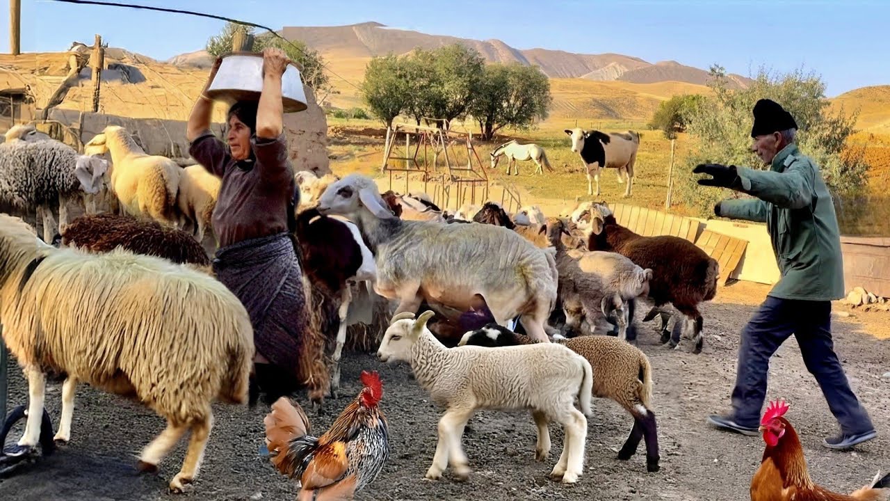 Nomadic lifestyle in 1000-year old Villages | A Visual Journey Through ...