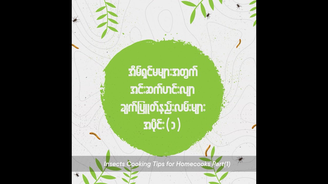 Cooking Edible Insects at Home: Part 1 | Myanmar Food Experiences - YouTube
