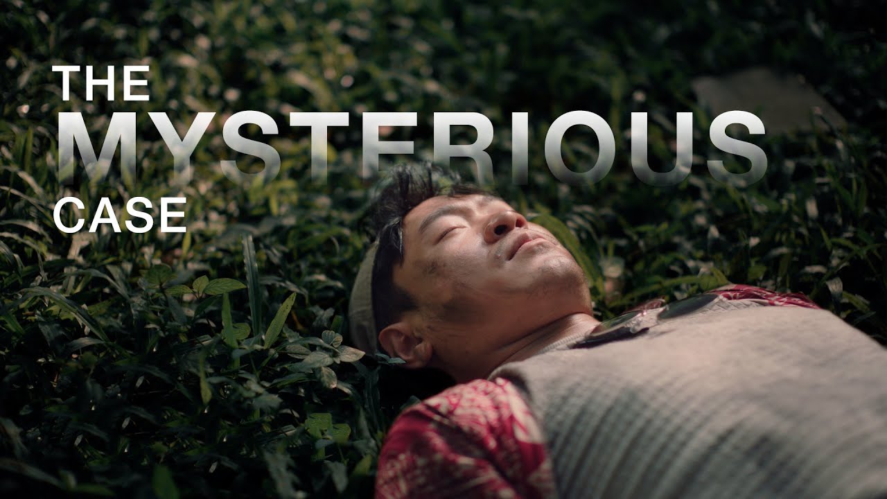 The Mysterious Case: The Mysterious Christmas in the Unknown Forest ...