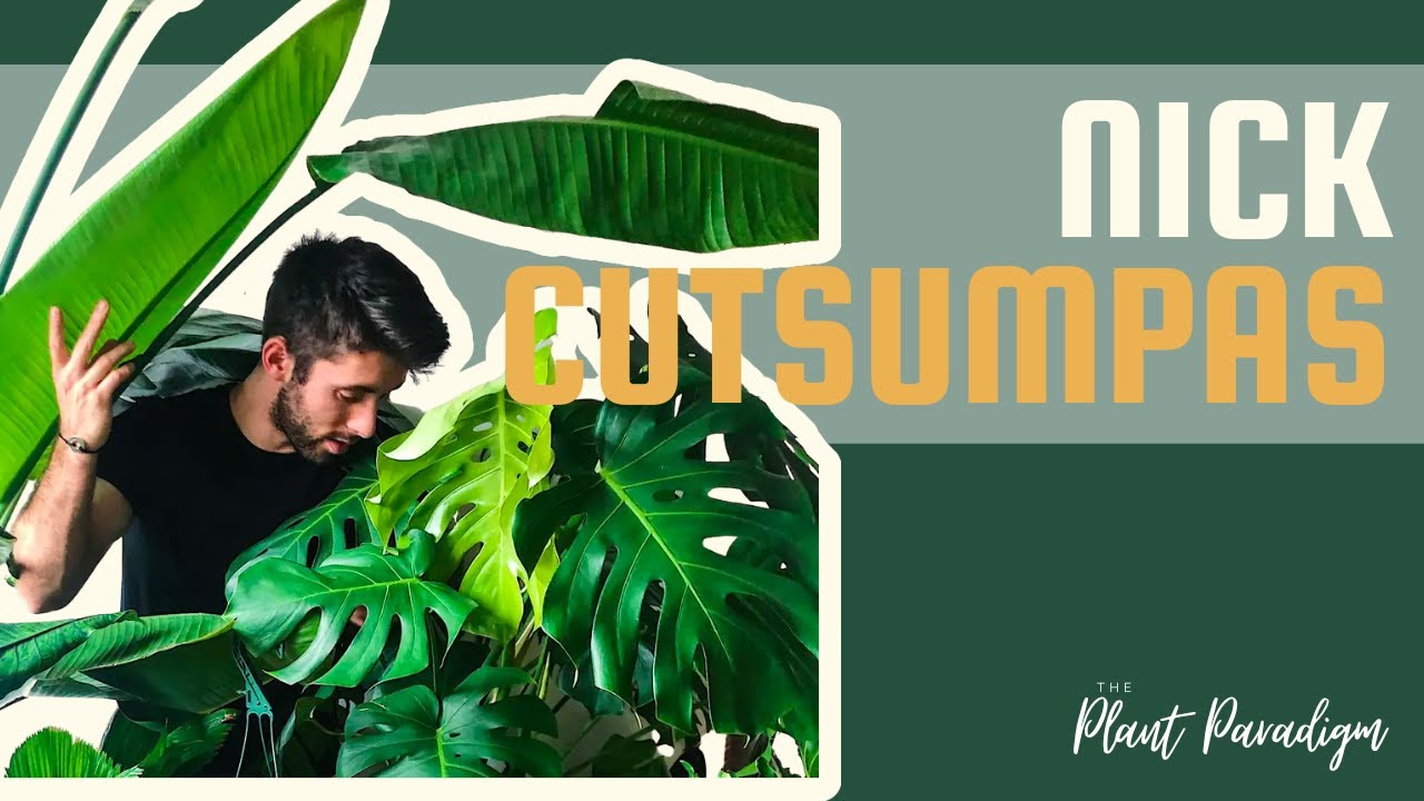 Nick Cutsumpas On Growing & Greening Your Life With Plants - YouTube