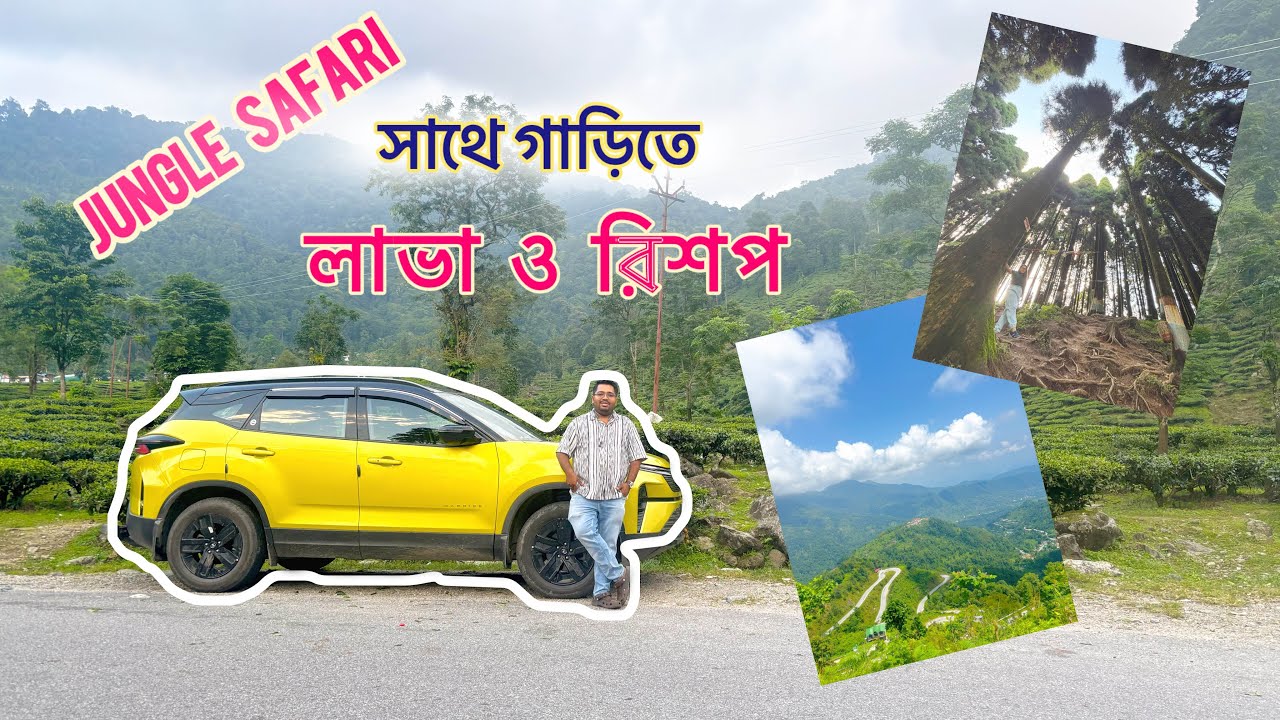 Dooars to lava & Rishop Ep-3| Peaceful Mountain Journey, Pine Forest ...