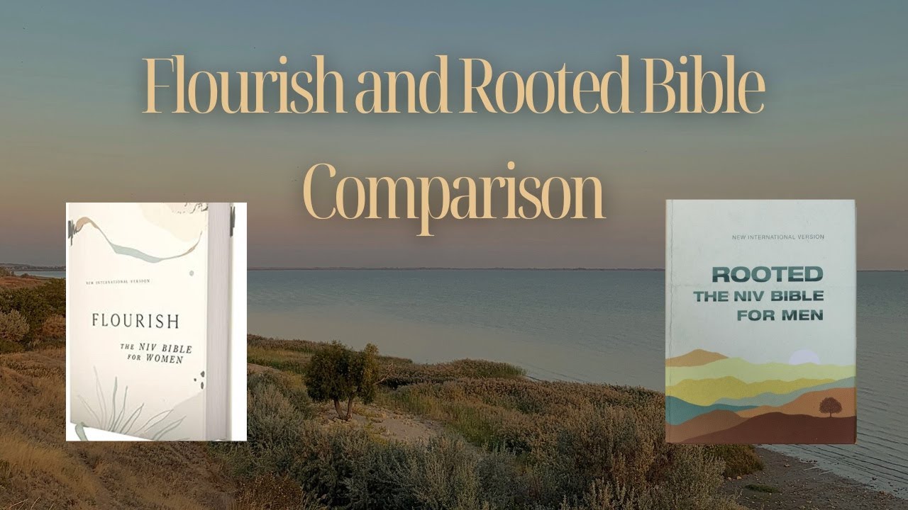 Flourish and Rooted Bible Comparison - YouTube