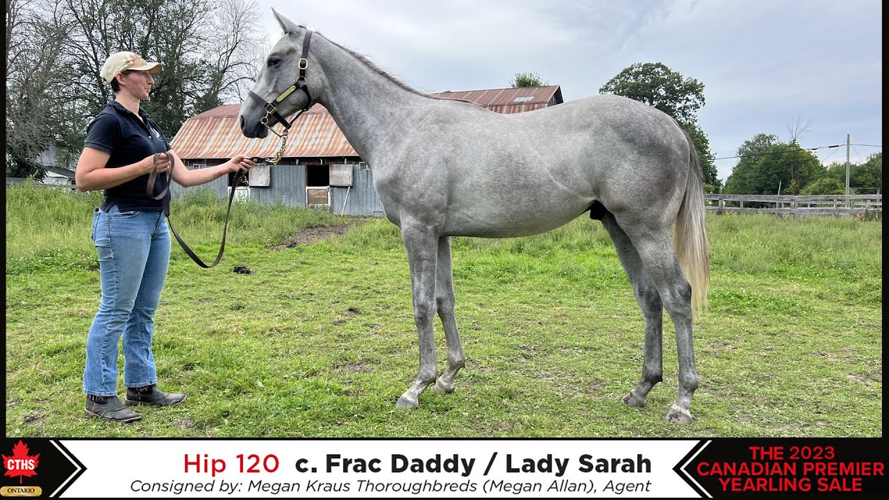 CTHS-ON 2023 - Hip 120 - c. Frac Daddy / Lady Sarah - YouTube