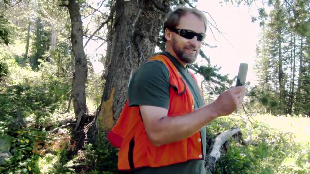 Tree Fight:Citizens on the Frontlines of climate change - YouTube