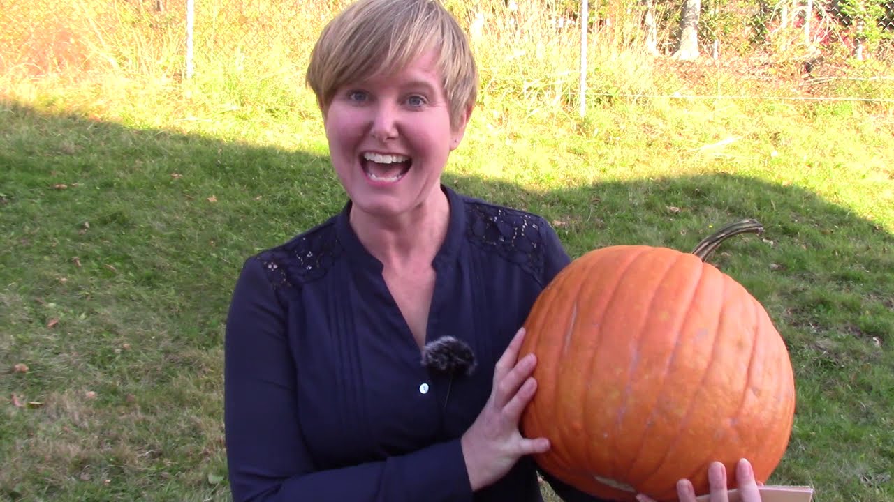 Grade 1: Math Lesson #37 Adding 1 To A Number - YouTube