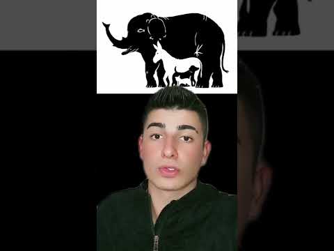 Bu resimde daha kaç tane hayvan olduğunu bilen olmamış #hayvan #bilmece #shorts