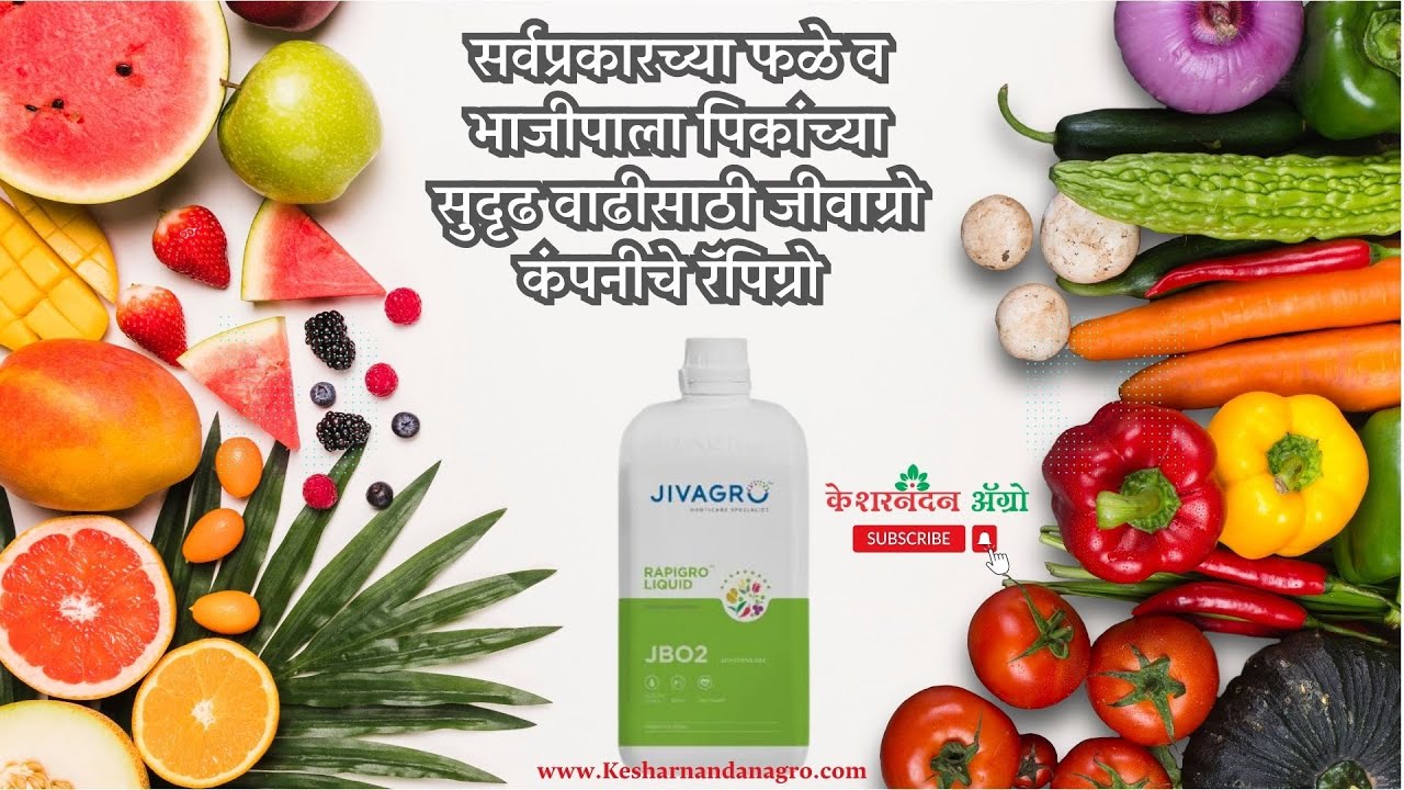 RAPIGRO LIQUID @jivagrohorticarespecialist - YouTube