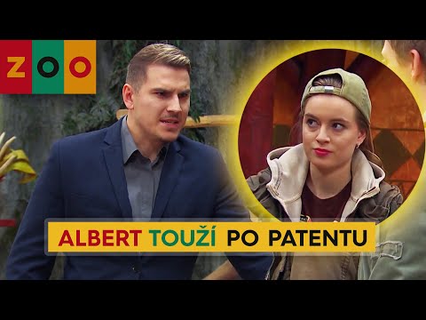 ZOO (88) – Albert touží po patentu