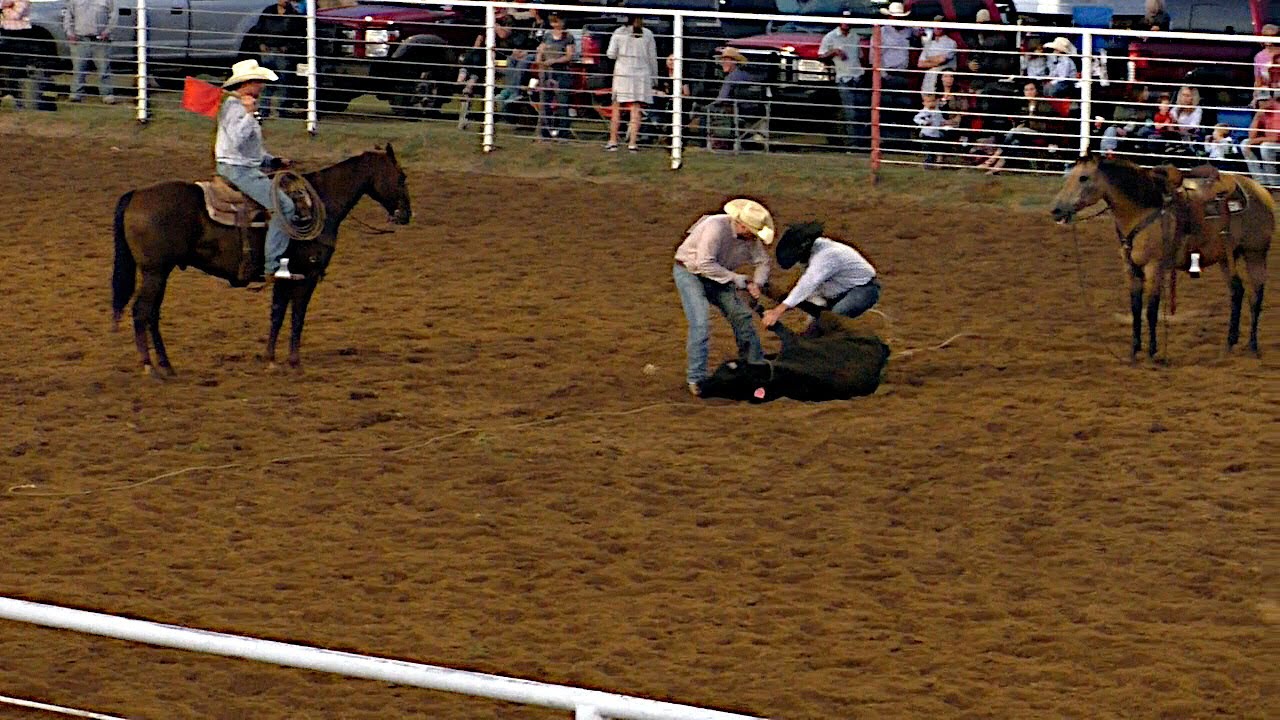 Stray Gathering - 2019 Earth Ranch Rodeo - YouTube