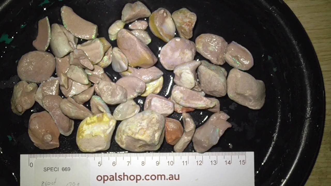 Opalised Fossils from Lightning Ridge, Australia SPECI 669 - YouTube