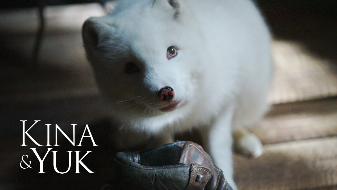 Kina & Yuk - YouTube