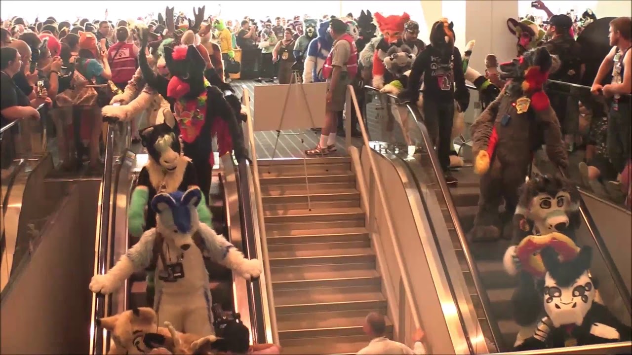 Anthrocon 2019 Fursuit Parade - YouTube