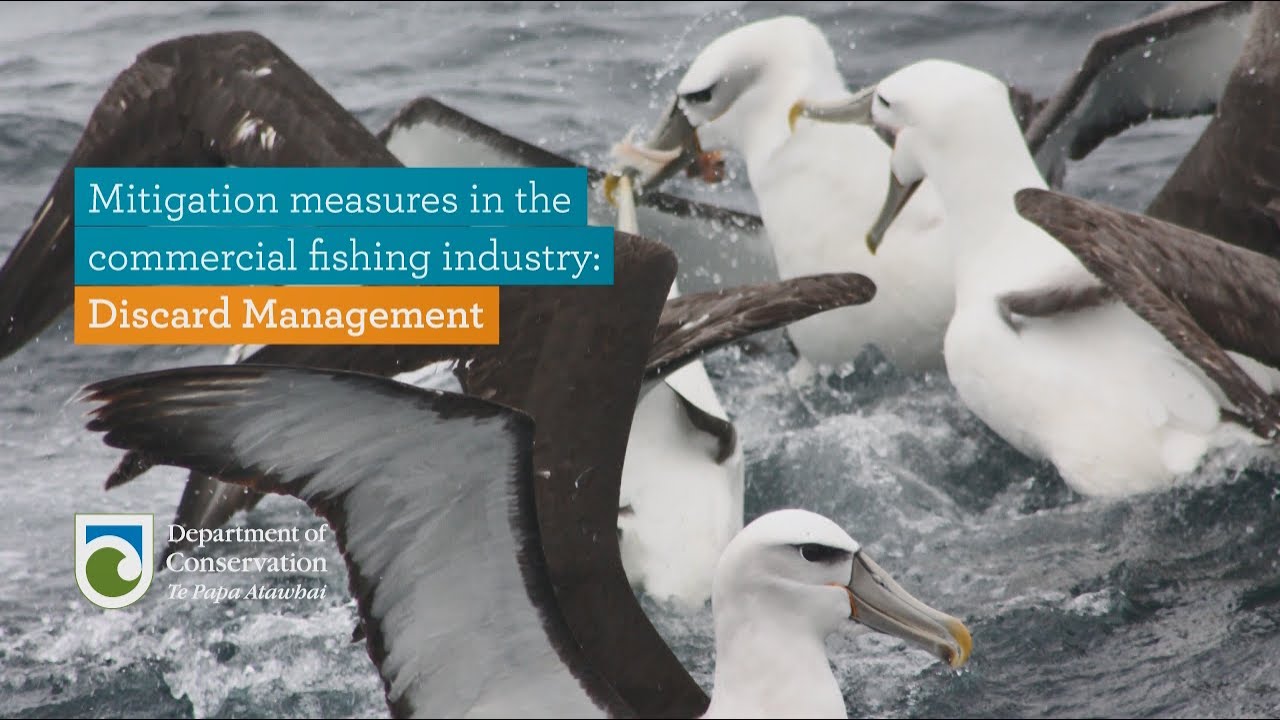 Discard management: Mitigation measures in the commercial fishing ...