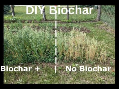DIY Biochar - improve your soil & yields - YouTube